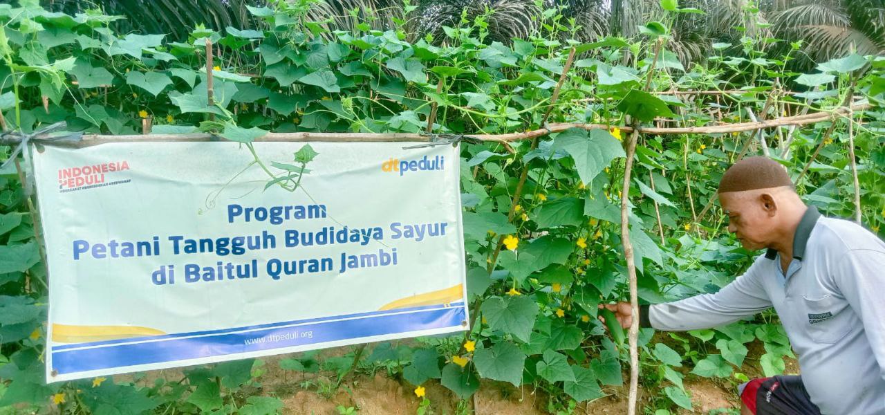 Panen Timun, Alhamdulillah DT Peduli Berhasil Kembangkan Petani Tangguh ...