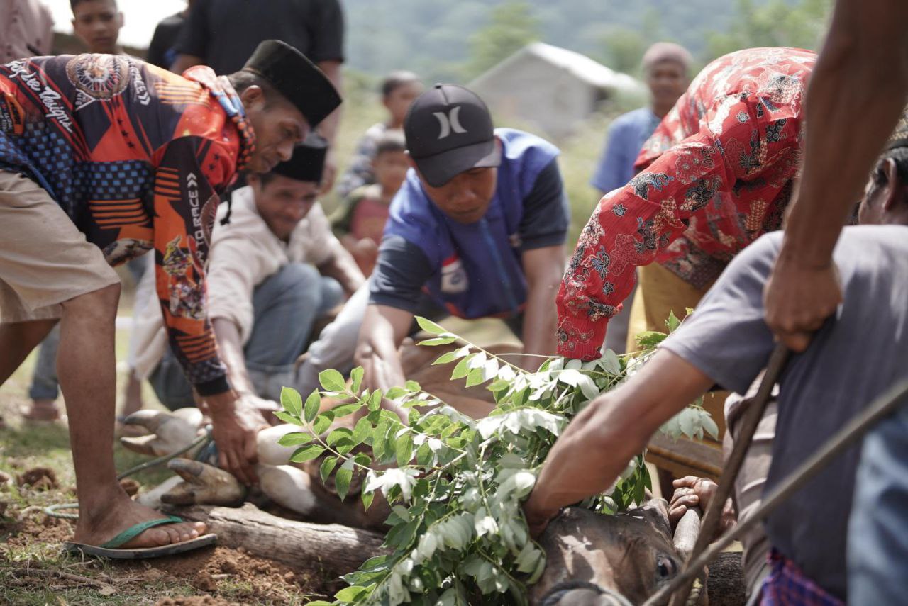 Akhirnya, Sepuluh Hewan Qurban Bahagiakan Warga Pelosok NTB Tahun ini ...