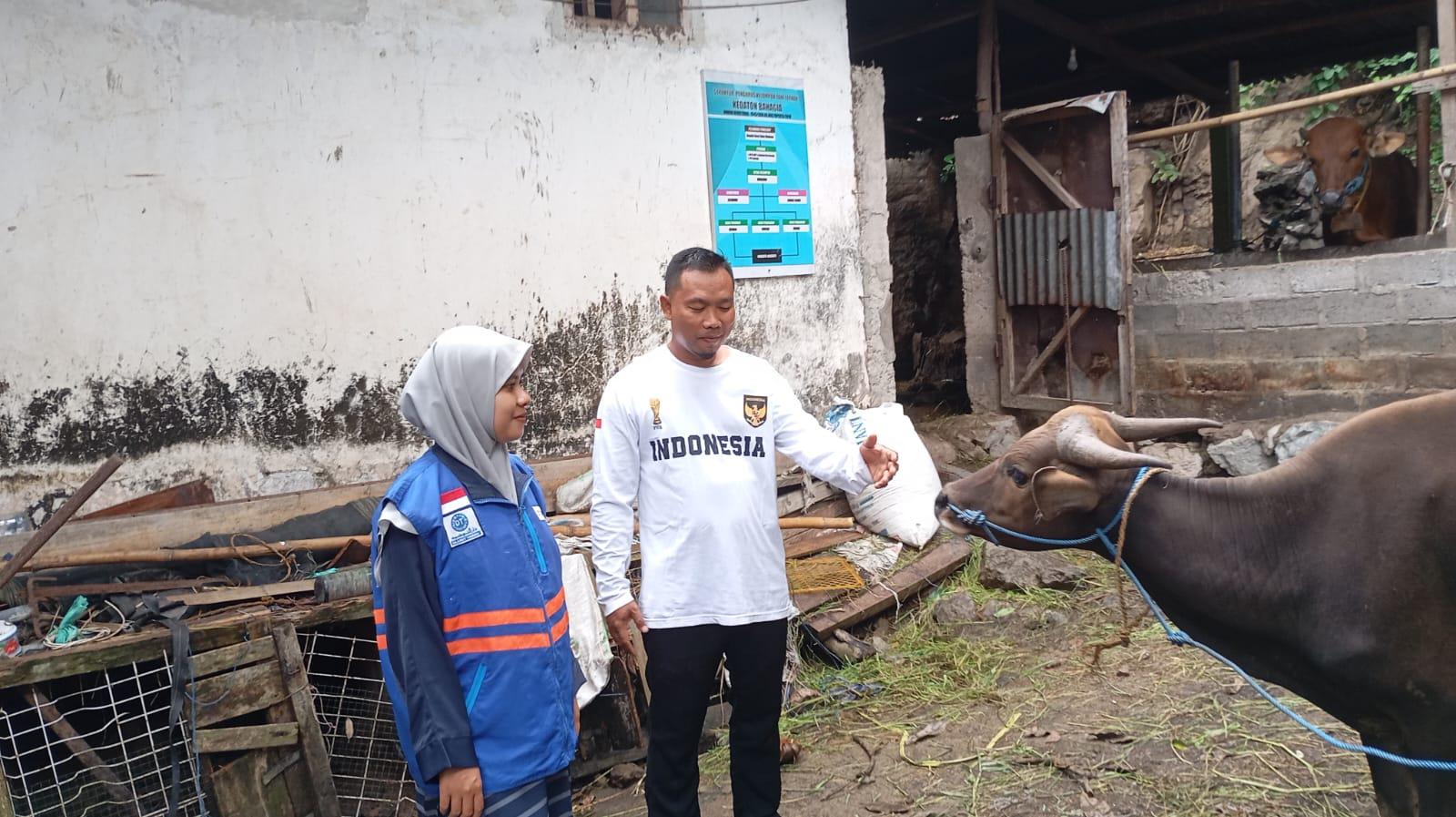 Bantuan Ternak Sapi dari DT Peduli NTB dan BPKH Dorong Kesejahteraan Peternak di Lombok Barat ...